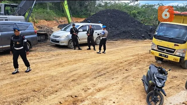 Terbongkarnya Tambang Batu Bara Ilegal di Kawasan Konservasi Orangutan di Kukar - Regional ...