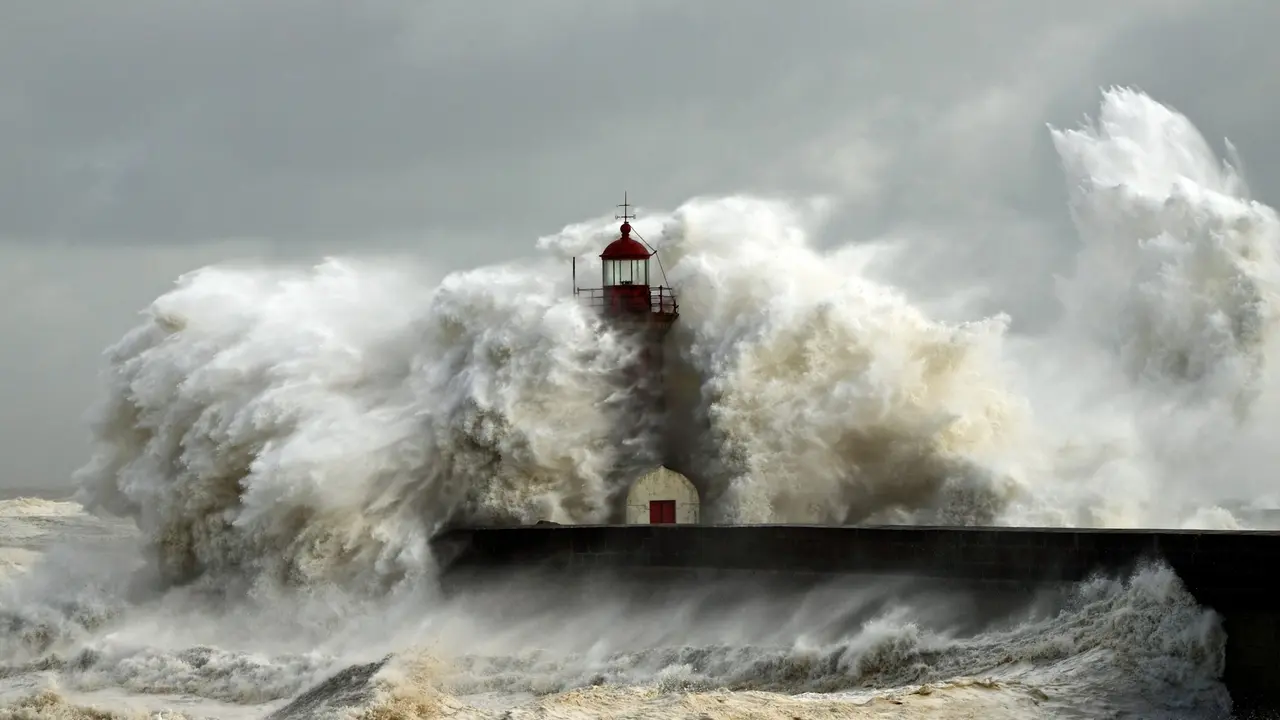 Pengertian Tsunami, Penyebab, Tanda, Dampak, dan Cara Menyelamatkan Diri - Ragam Bola.com