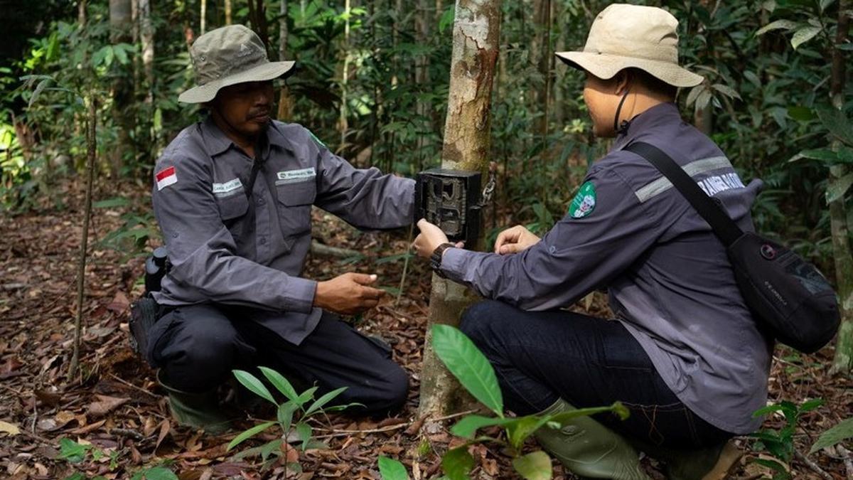 Cara Royal Lestari Utama Lindungi Satwa Liar Langka - Bisnis Liputan6.com