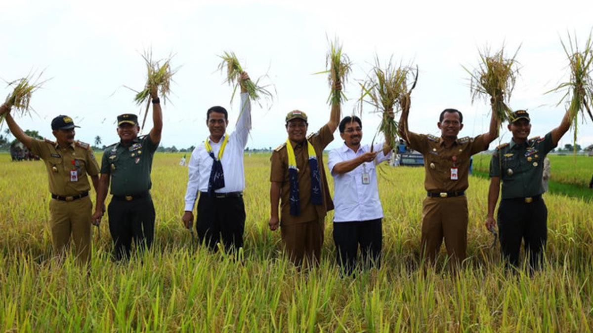 Kementan Alokasikan Anggaran Rp 2,5 Triliun untuk Program Serasi ...