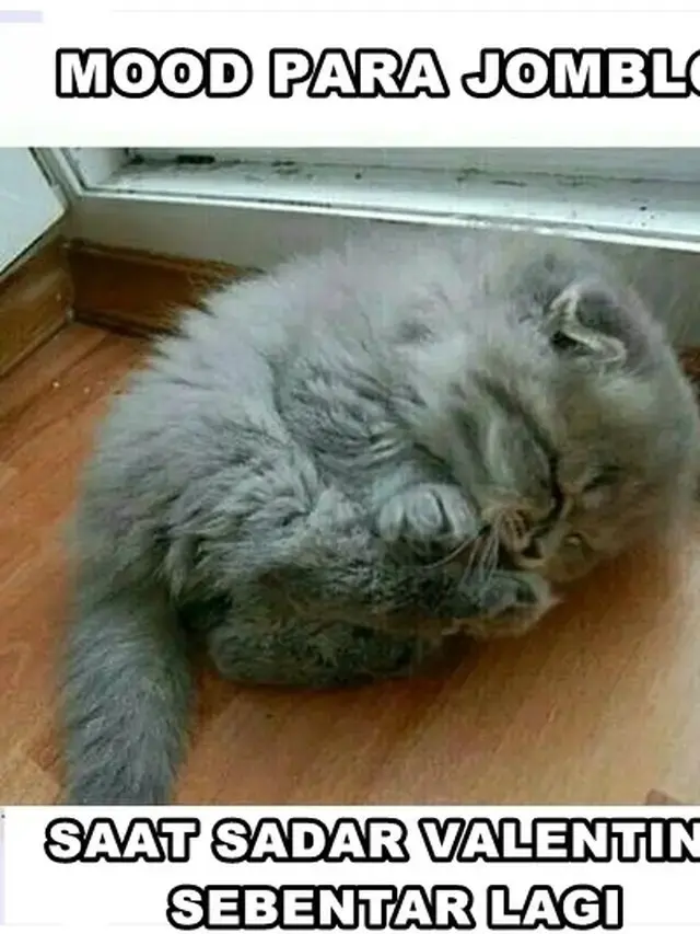 8 Meme Kocak Jomblo Ikut Rayakan Valentine Ini Bikin Ngenes - Hot ...