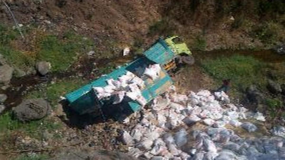 Gagal nanjak, truk bermuatan pakan ternak terjun ke sungai - Berita ...