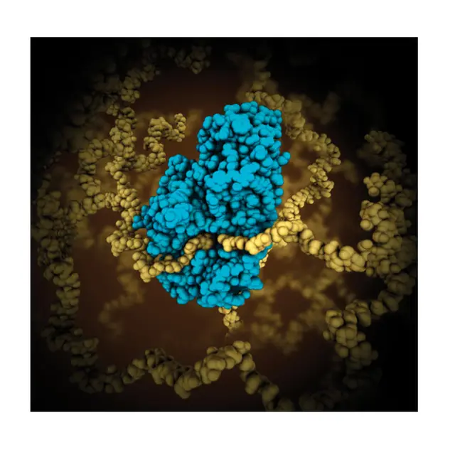 Cara Kerja Enzim, Sifat Kimia, Penghambat, dan Macam-Macamnya - Hot ...