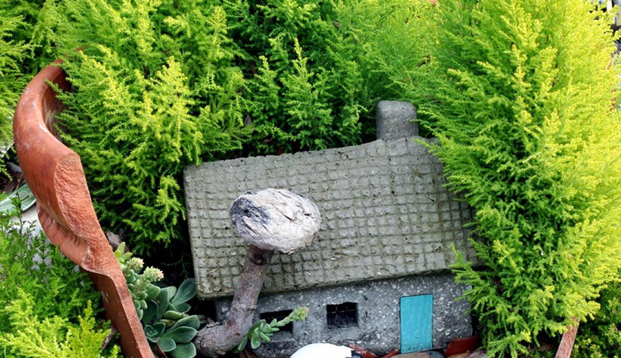 Hias Taman Lebih Cantik, Ini Dia DIY Pot Bunga Seakan Fantasi - Photo ...