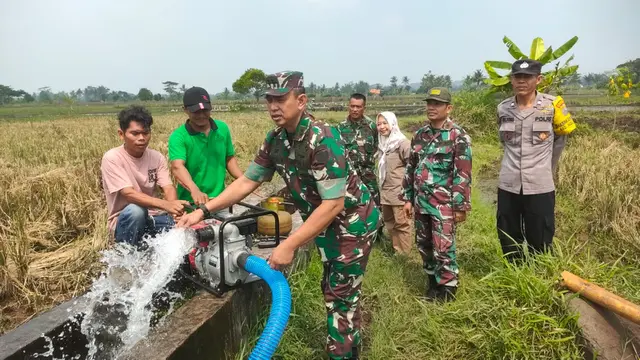 Wujudkan Swasembada Pangan, Satgas Pangan TNI Dukung Program Pompanisasi dan PAT dari Kementan ...