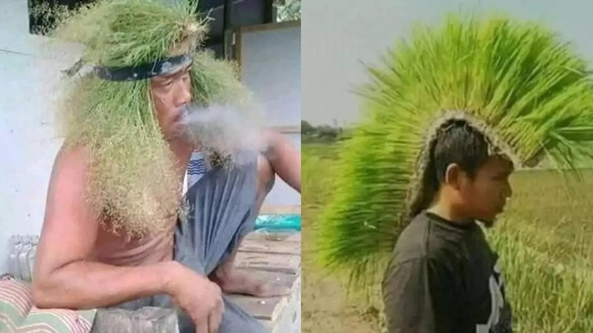 6 Tingkah Konyol Orang Punya Rambut dari Rumput, Absurd Banget - Hot ...