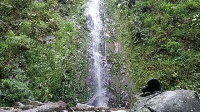 20 Wisata Merapi Jogja Paling Hits, dari Sejarah sampai Panorama Alam ...