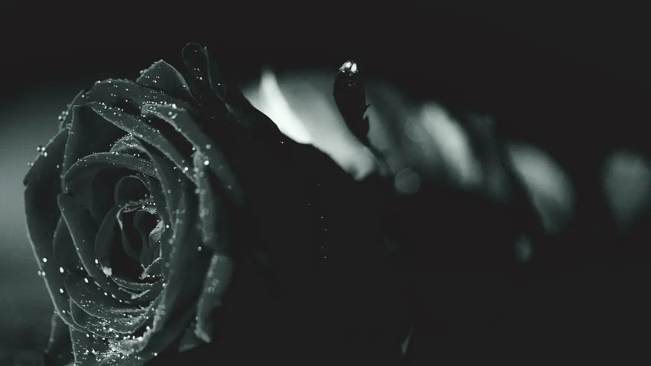 7 Arti Mimpi tentang Bunga, Punya Makna Unik yang Mengagetkan - Hot ...