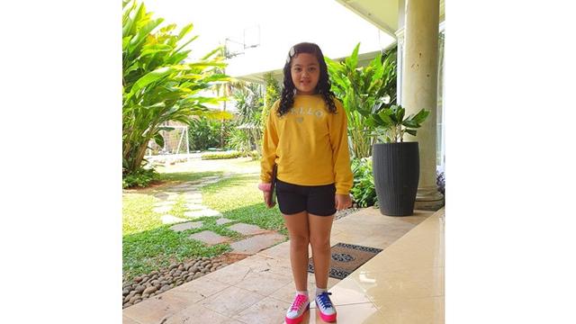 7 Potret Rumah Krisdayanti dan Raul Lemos, Mewah dengan Gaya Klasik ...