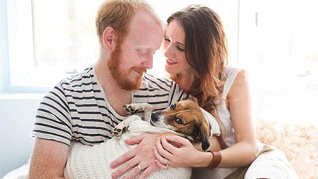 Berita Anjing Terjelek Hari Ini - Kabar Terbaru Terkini | Liputan6.com