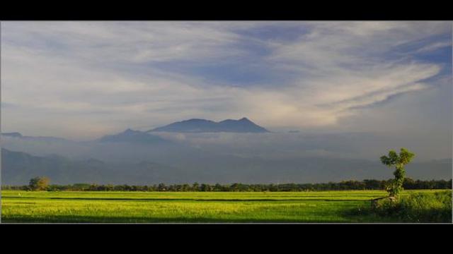 12 Wisata Alam Situbondo Terpopuler, Kombinasi Pantai dan Kawasan ...