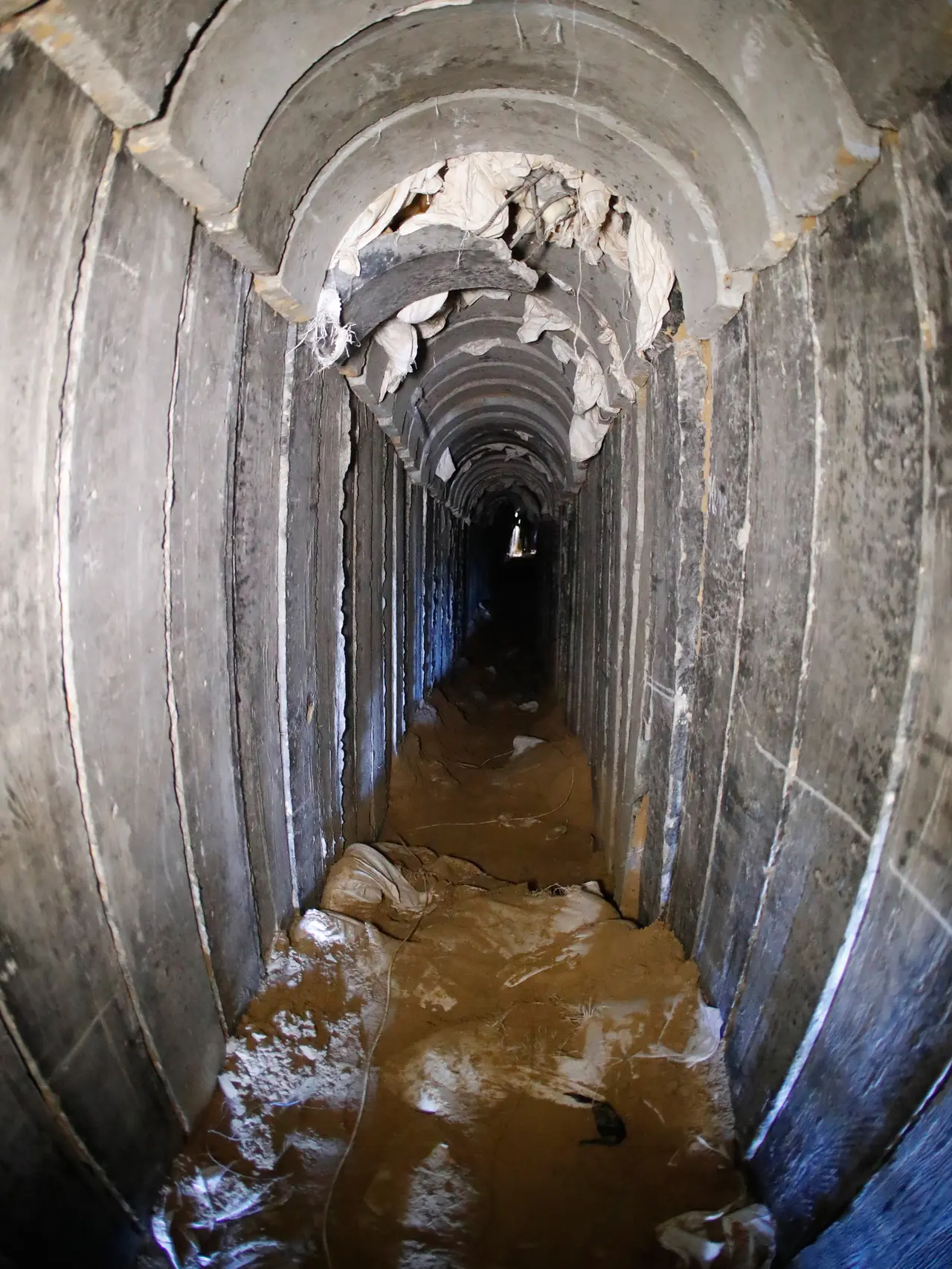 Israel Kembali Bangun Tembok di Jalur Gaza Palestina - Global Liputan6.com