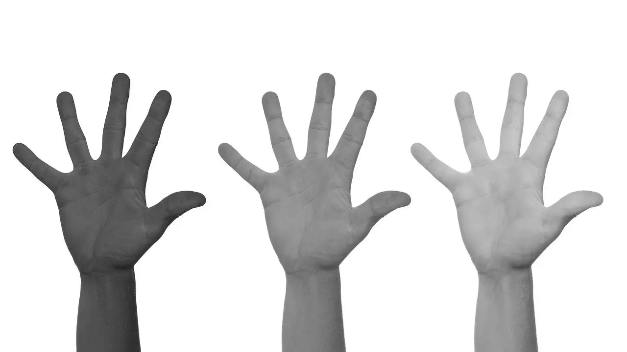 Apa itu Rasis? Kenali Pengertian, dan Bentuk-Bentuknya - Hot Liputan6.com