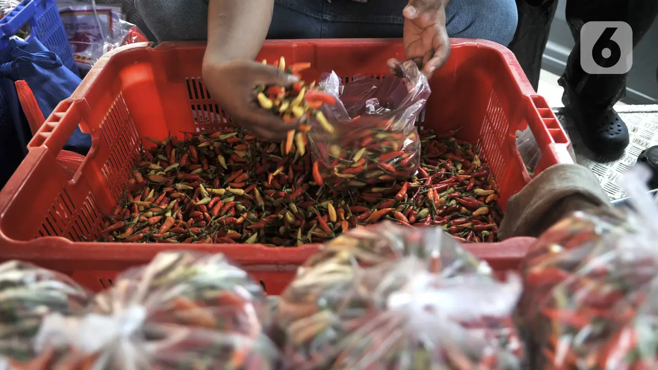 Harga Cabai Rawit Tembus Rp 100 Ribu per Kg, Ini Penyebabnya - Bisnis Liputan6.com