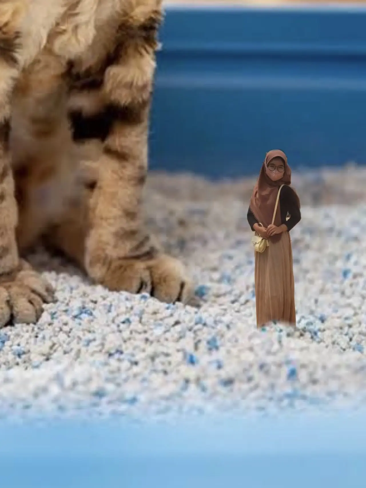 5 Editan Foto Nyeleneh Cewek Ingin di Padang Pasir Bareng Unta Ini ...