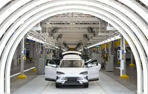 1 Hektar Berapa Pohon Sawit? Simak Jarak Tanam Juga Cara Meningkatkan ...