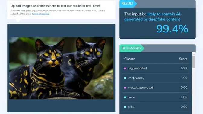 Cek Fakta: Hoaks Foto Penampakan Kucing Felis Salamandra, Berbulu Hitam ...