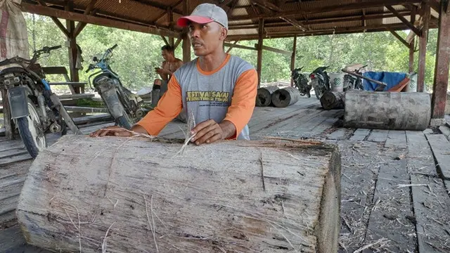 Pandemi Covid-19 dan Kegusaran Pengelola Belasan Kilang Sagu di Meranti ...