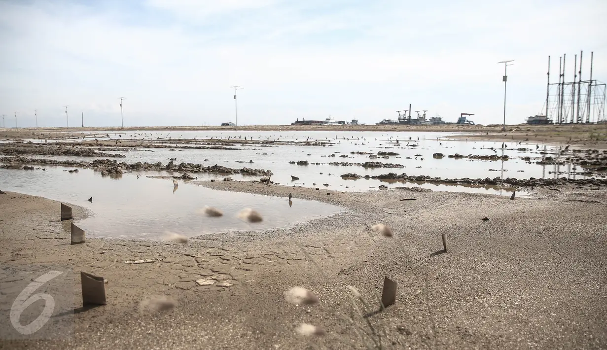Pemandangan Terkini Proyek Reklamasi Pulau C dan D - Foto Liputan6.com
