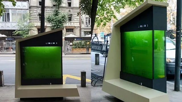 Liquid Tree Inovasi 'Pohon Cair' Unik Serbia Lawan Polusi Udara ...