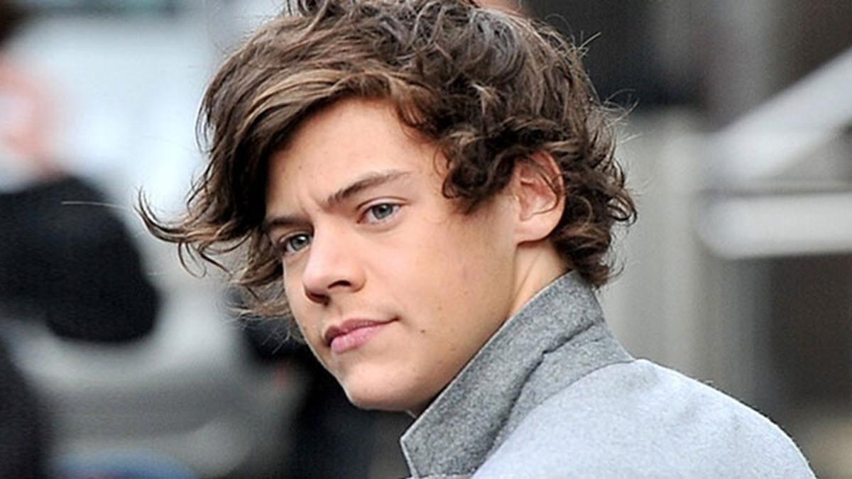 Harry One Direction Tertarik Kencani Wanita Ambisius - ShowBiz Liputan6.com