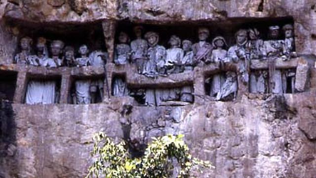 15 Tempat Wisata Toraja Terbaru 2025, Ada yang Mirip Swiss Hingga ...
