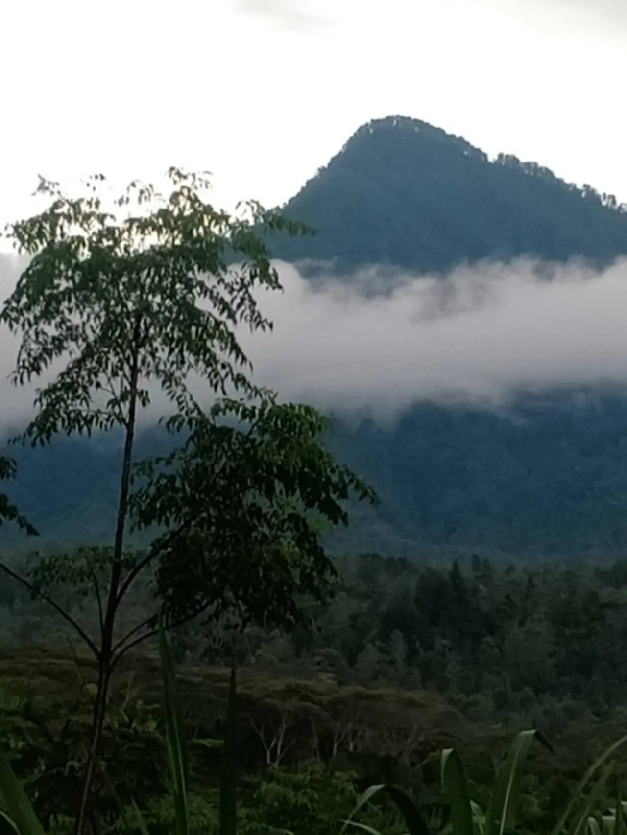 Kenakan Pakaian Adat Jadi Syarat Mendaki Puncak Gunung Abang di Bali ...