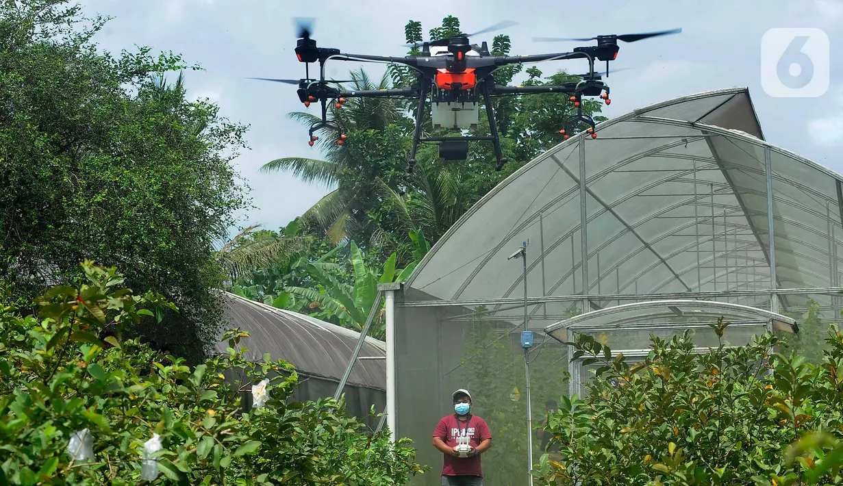 IPB Kembangkan Drone Penyemprot Pupuk untuk Tingkatkan Produksi ...