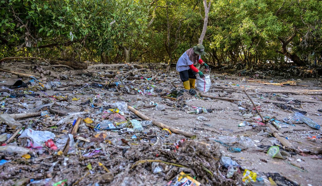 Peringati Hari Mangrove Sedunia, Sejumlah Relawan Bersih-bersih Rawa ...