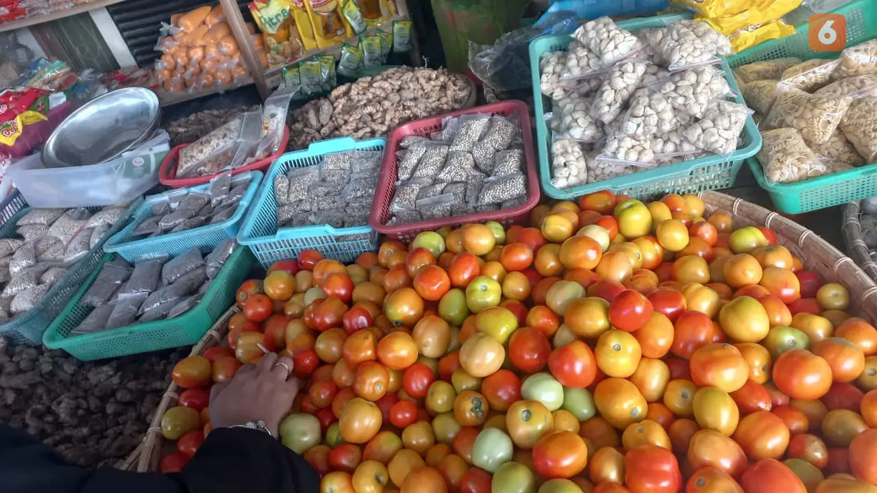 Petani Gorontalo Keluhkan Harga Tomat yang Terjun Bebas