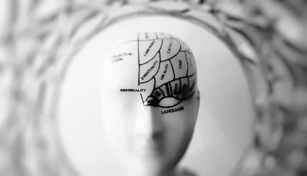 Arti Inklusif: Memahami Konsep dan Penerapannya dalam Kehidupan Sehari ...