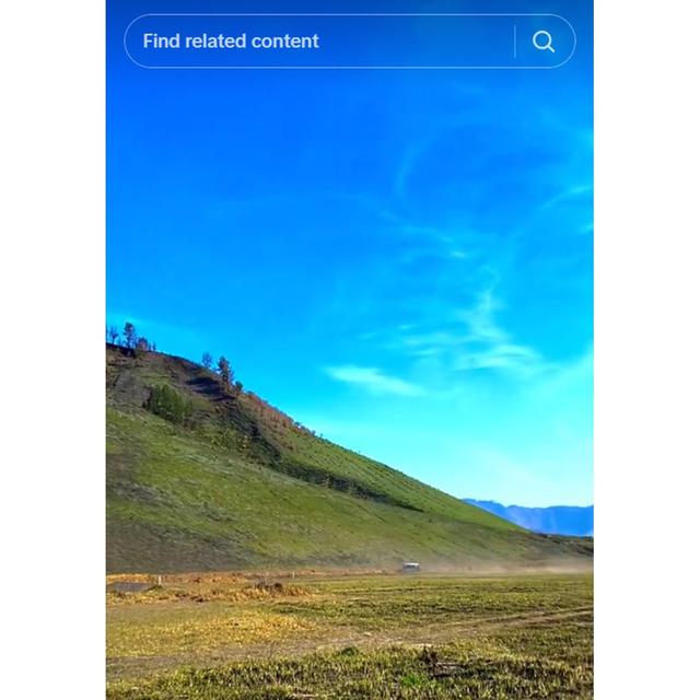 6 Potret Savana Bromo Menghijau Usai Terbakar, Pemandangan yang Dirindukan