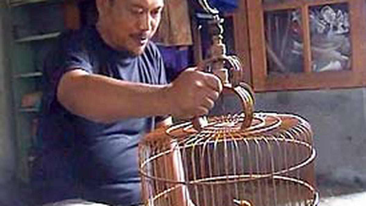 Menangguk Keuntungan Hasil Merawat Burung - News Liputan6.com