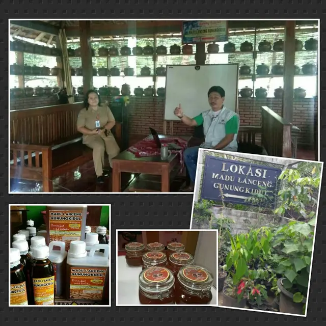 Madu Lanceng Gunungkidul, Madu Sehat dari Kelompok Tani di Desa ...