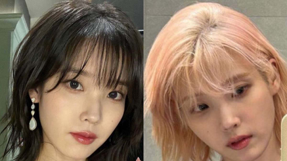 Mengejutkan, 6 Tampilan Terbaru IU dengan Gaya Rambut Pendek Wolf Cut ...