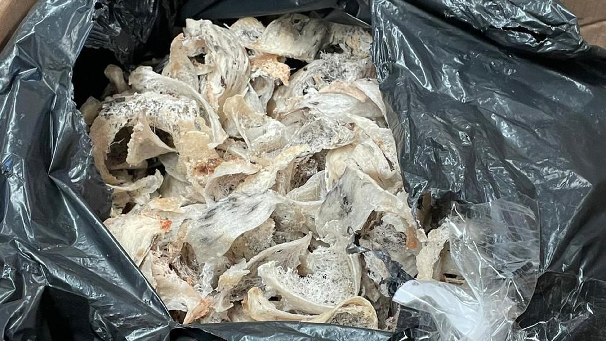 950 Kg Sarang Burung Walet Gagal Dikirim ke Vietnam, Ini Penyebabnya