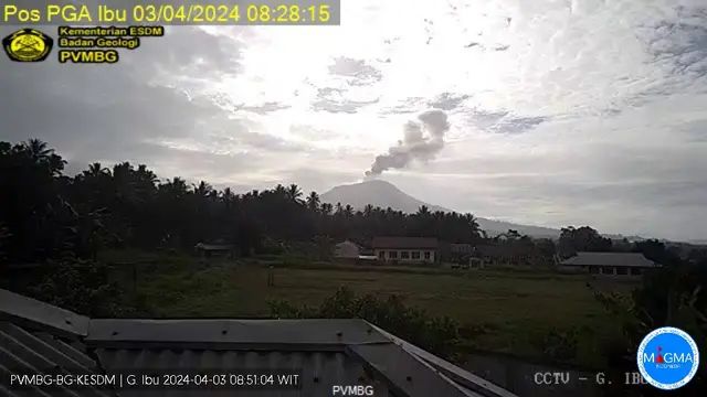 Gunung Ibu Erupsi, Semburkan Abu Vulkanik Setinggi 800 Meter ke Arah Barat Daya - Regional ...
