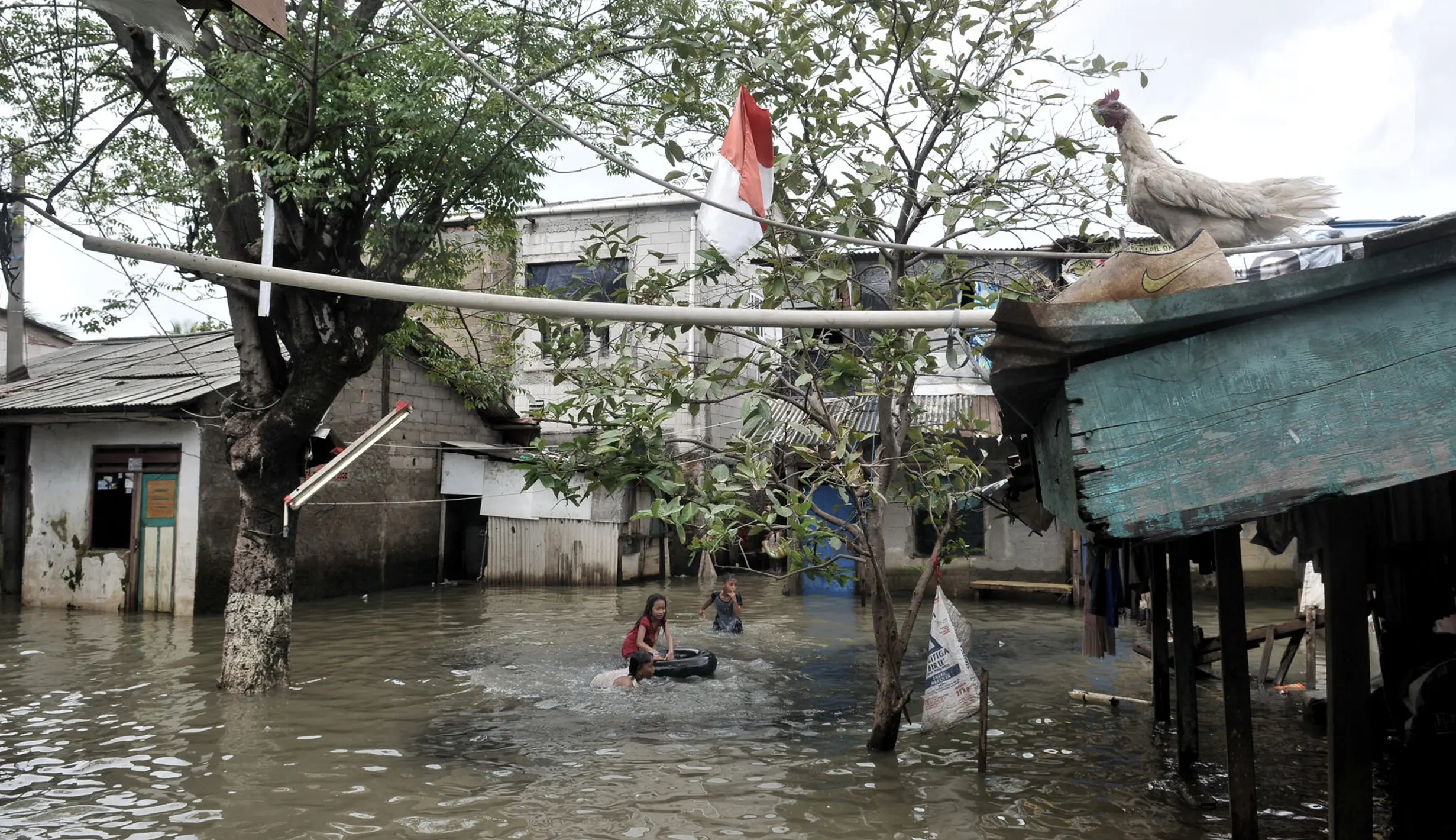 FOTO: Kerap Dilanda Banjir, Begini Kondisi Kampung Sawah Rawa Terate ...