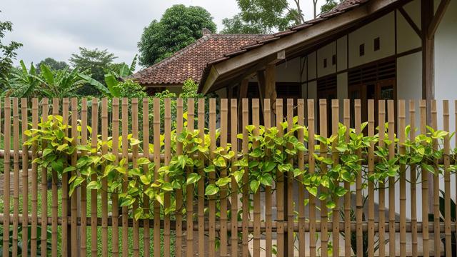 8 Ide Pagar Bambu Kombinasi Tanaman Rambat yang Asri, Ciptakan Privasi ...