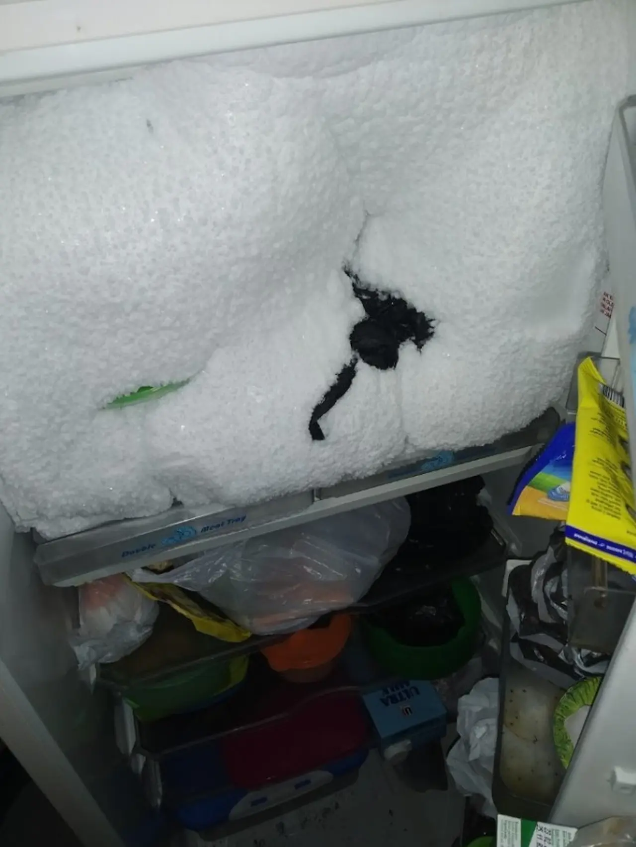 6 Potret Kulkas Penuh Bunga Es Ini Bikin Geleng Kepala, Tak Ada Ruang ...