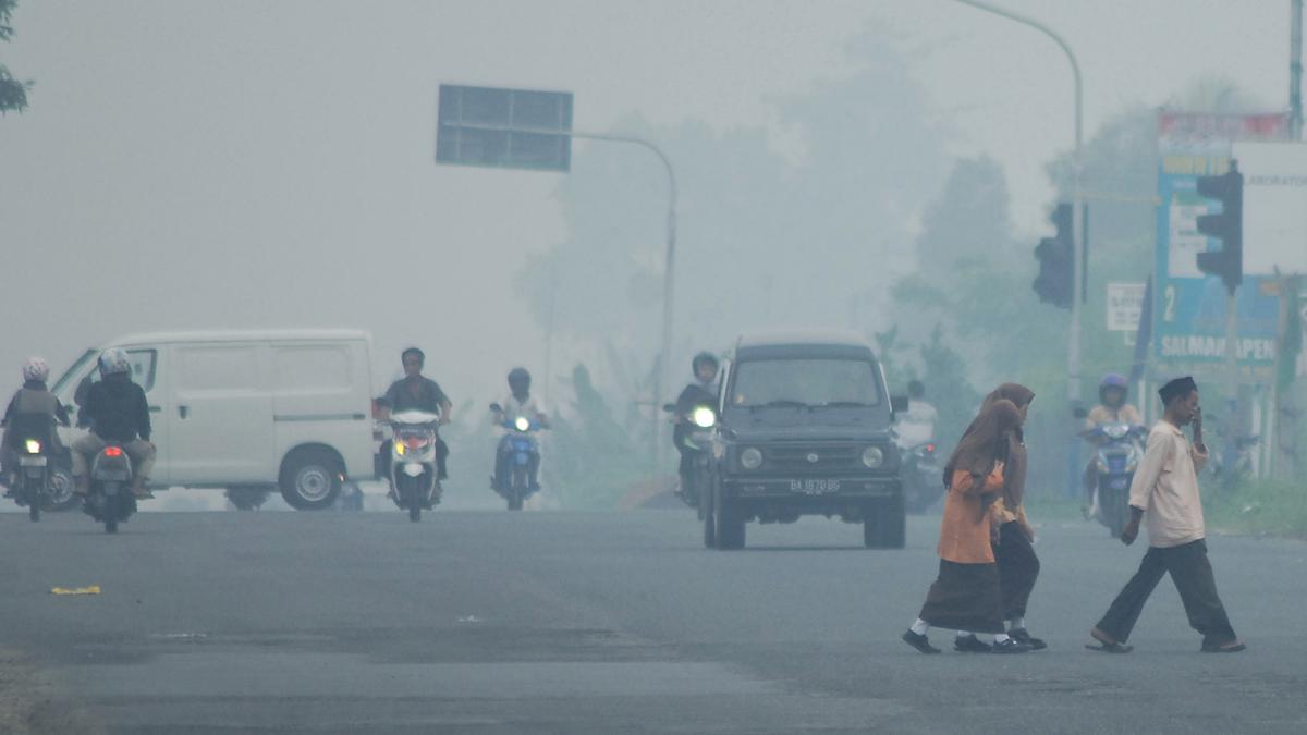 Kabut Asap Selimuti Sejumlah Wilayah di Kalbar - News Liputan6.com