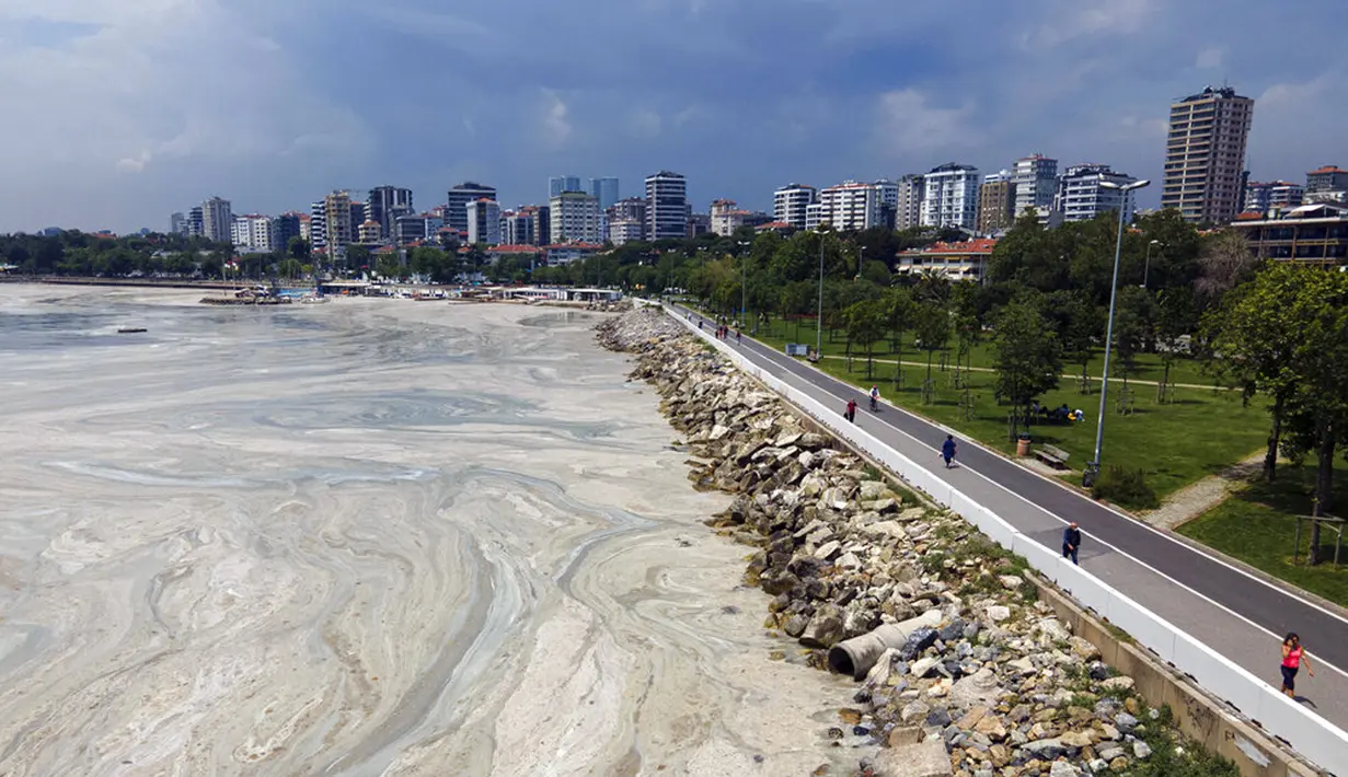 FOTO: Ingus Laut Penuhi Laut Marmara Turki - Foto Liputan6.com