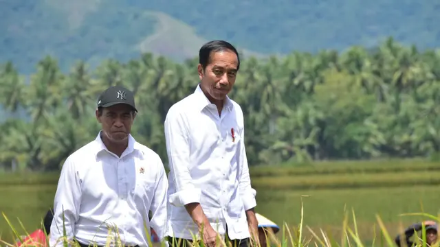 Presiden Jokowi Puji Gebrakan Mentan Amran Lakukan Percepatan Tanam Padi di Sulteng - Bisnis ...