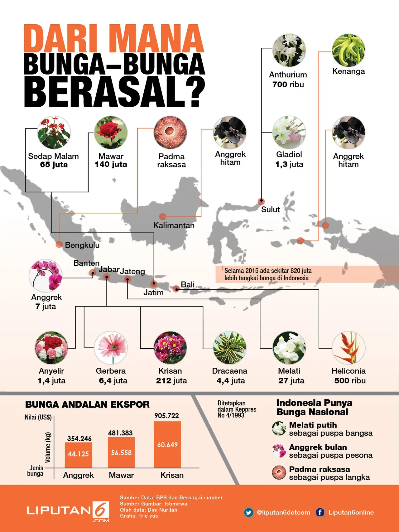 Bunga Tabebuya Bermekaran di Kawasan Kemang dan Jalan Sudirman, Warga ...