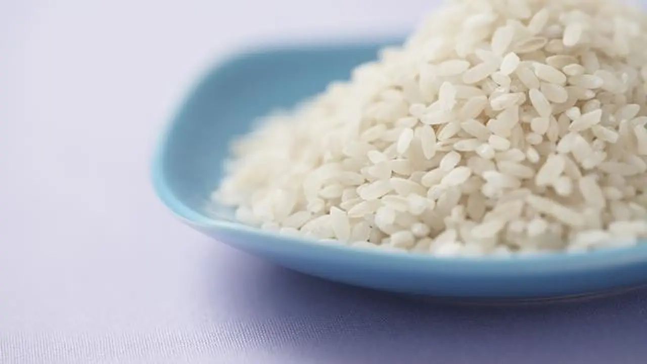 Begini Cara Terbaik Membasmi Semut di Beras, Dijamin Anti Gagal ...