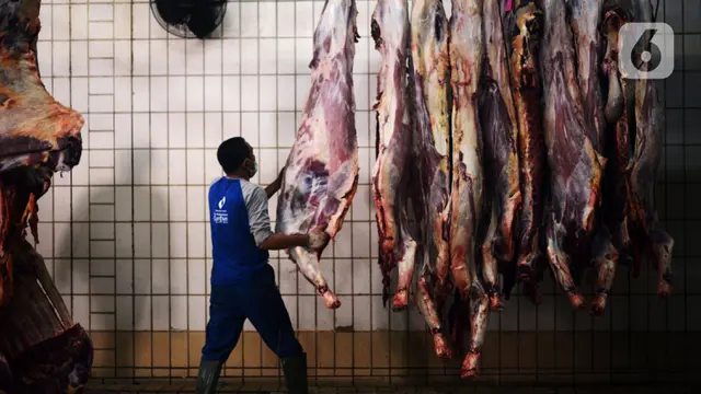 Panduan Lengkap Cara Pembagian Daging Kurban Kambing dan Sapi yang ...