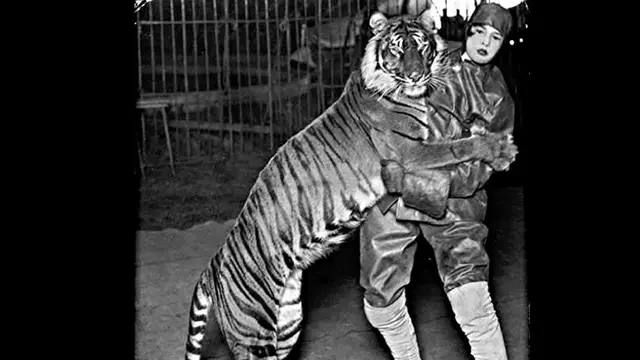 6 Hewan Endemik Indonesia yang Dinyatakan Punah, Terakhir Ikan Pari ...