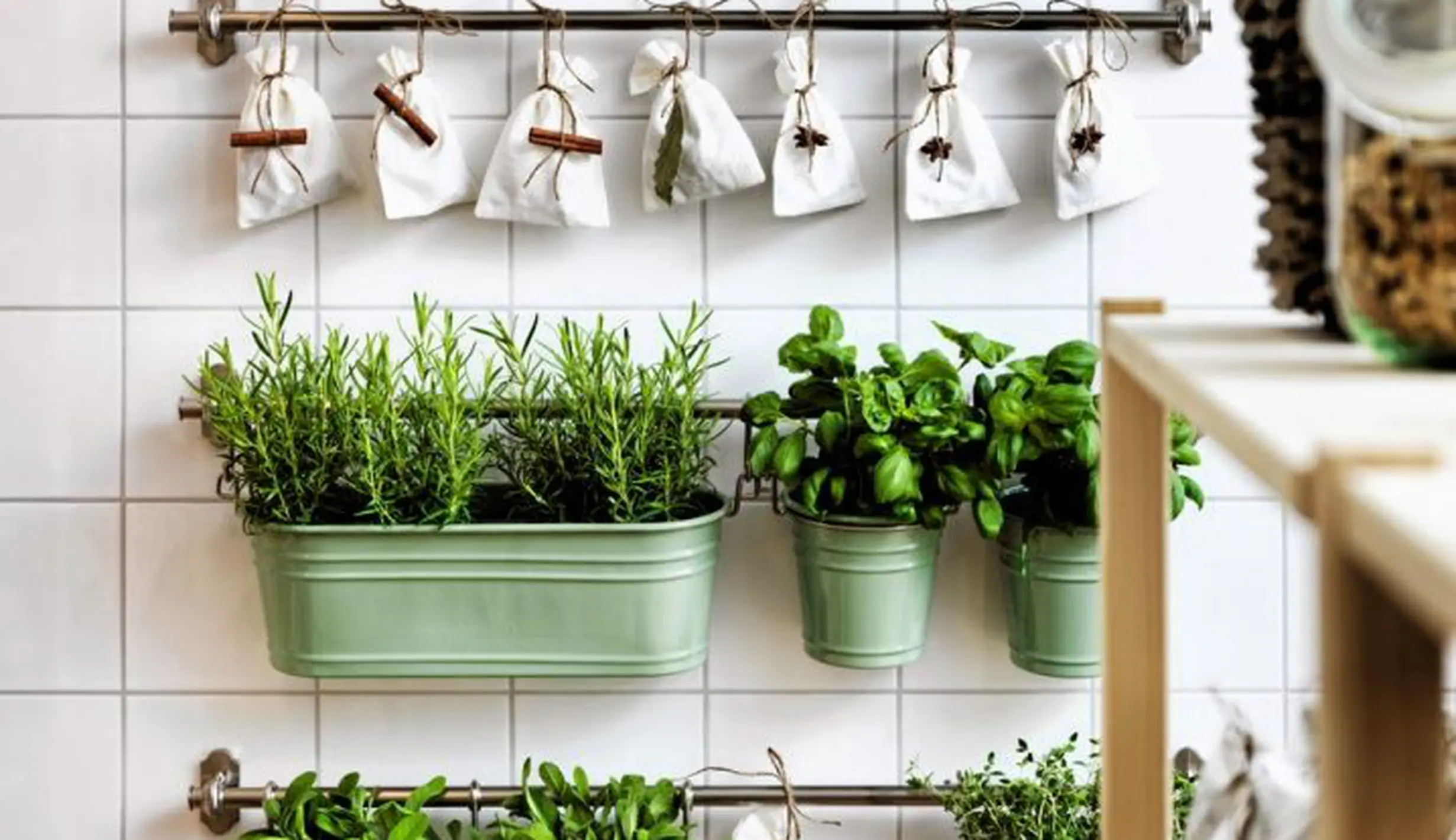 10 Ide Go Green Menanam Bumbu Dapur Di Dalam Rumah - Photo Fimela.com