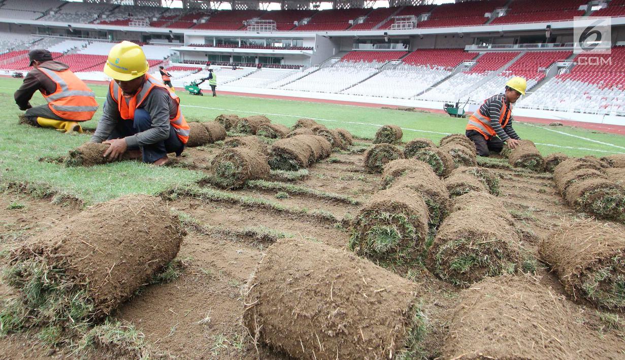 FOTO: Rumput GBK Dicopot demi Persiapan Asian Games 2018 - Foto ...