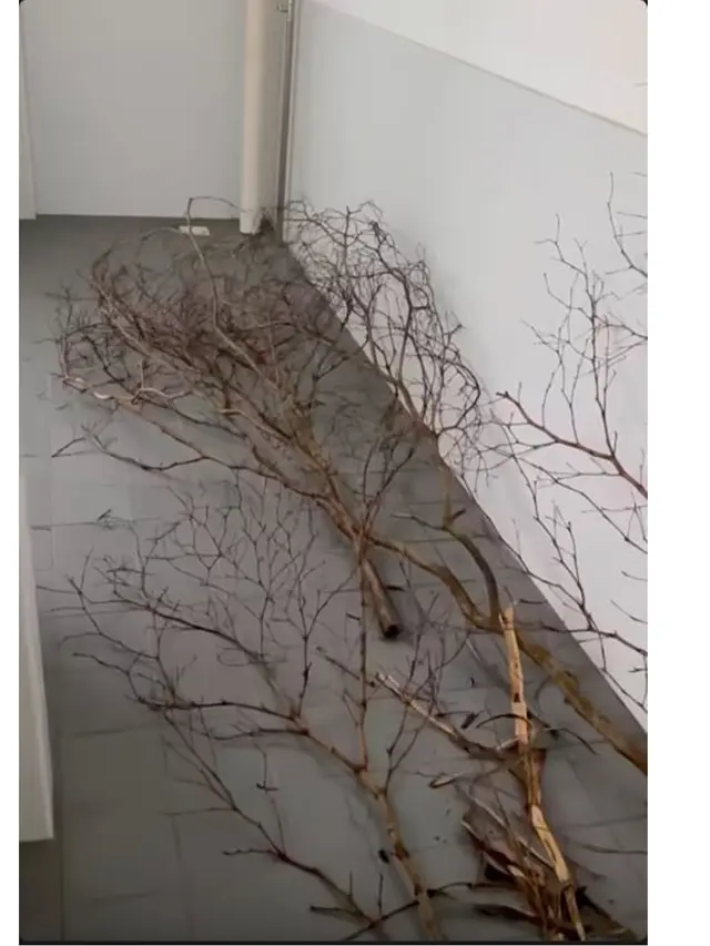 Kreatif dan Hemat Uang, Wanita Ini Ubah Ranting Pohon Jadi Dekorasi ...